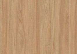 Swiss Elm