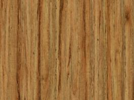 Dark Wood